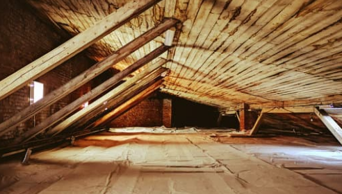 How to Find and Seal Mice Entry Points? | Empire Pest Control London