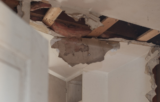 How to Find and Seal Mice Entry Points? | Empire Pest Control London